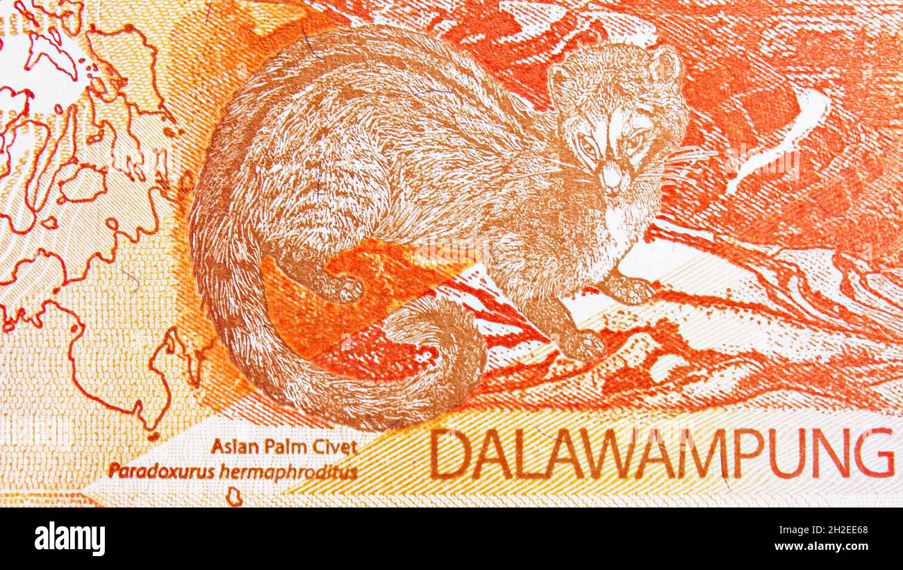 20 Piso banknote, Bank of Philippines, closeup bill fragment shows Map ...