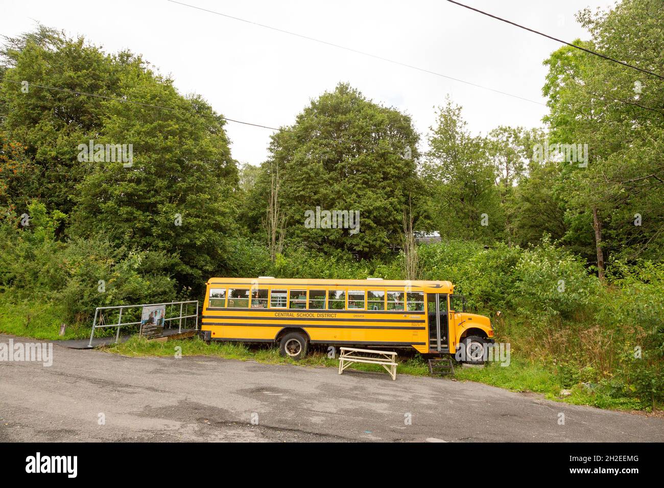 Yellow American school bus converted into a rum distillery, Dartington ...