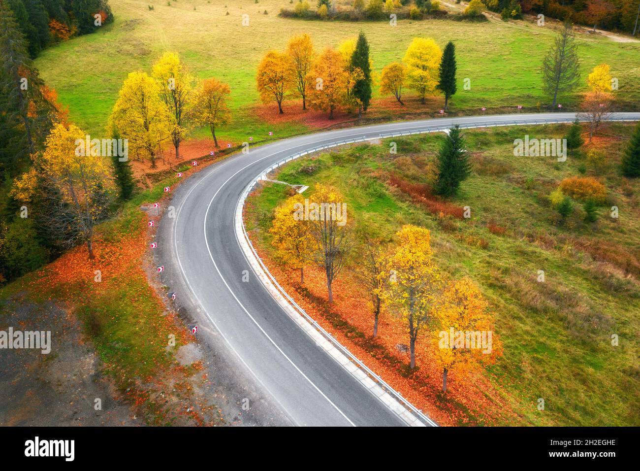 Winding road forest hi-res stock photography and images - Alamy