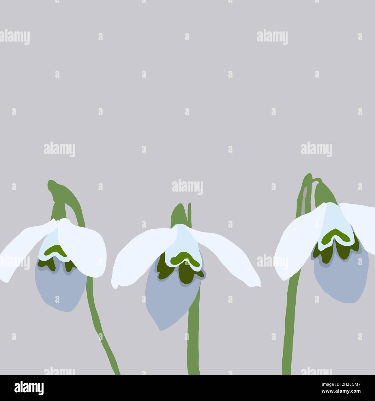 Snowbells Illustration in muted colors with grey background Stock Photo ...
