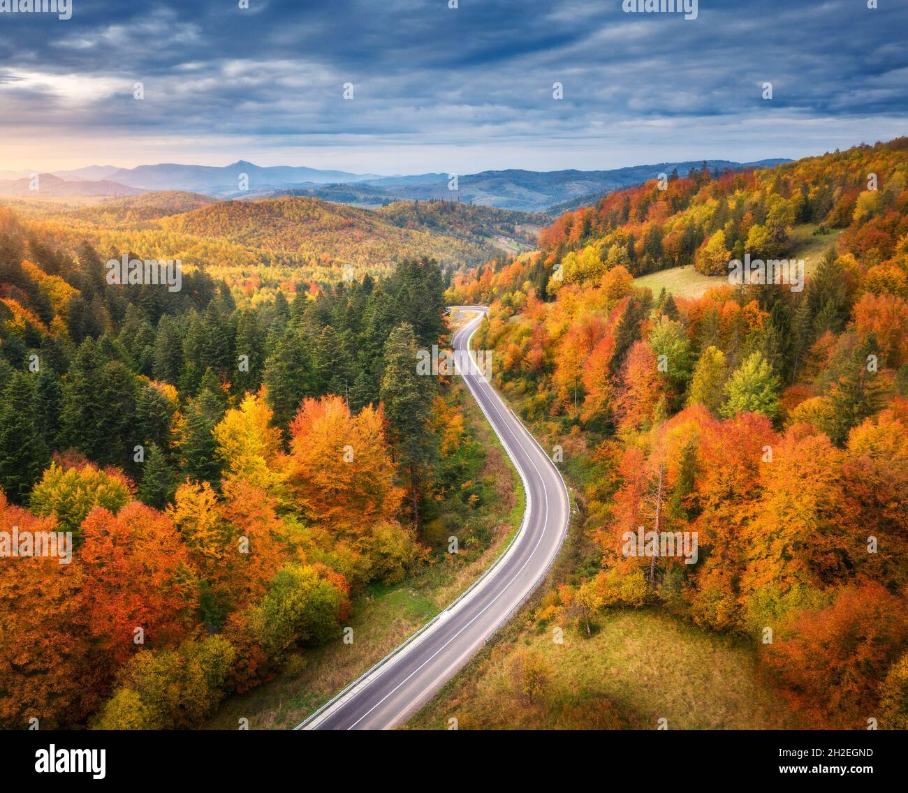Colorful forest road hi-res stock photography and images - Alamy