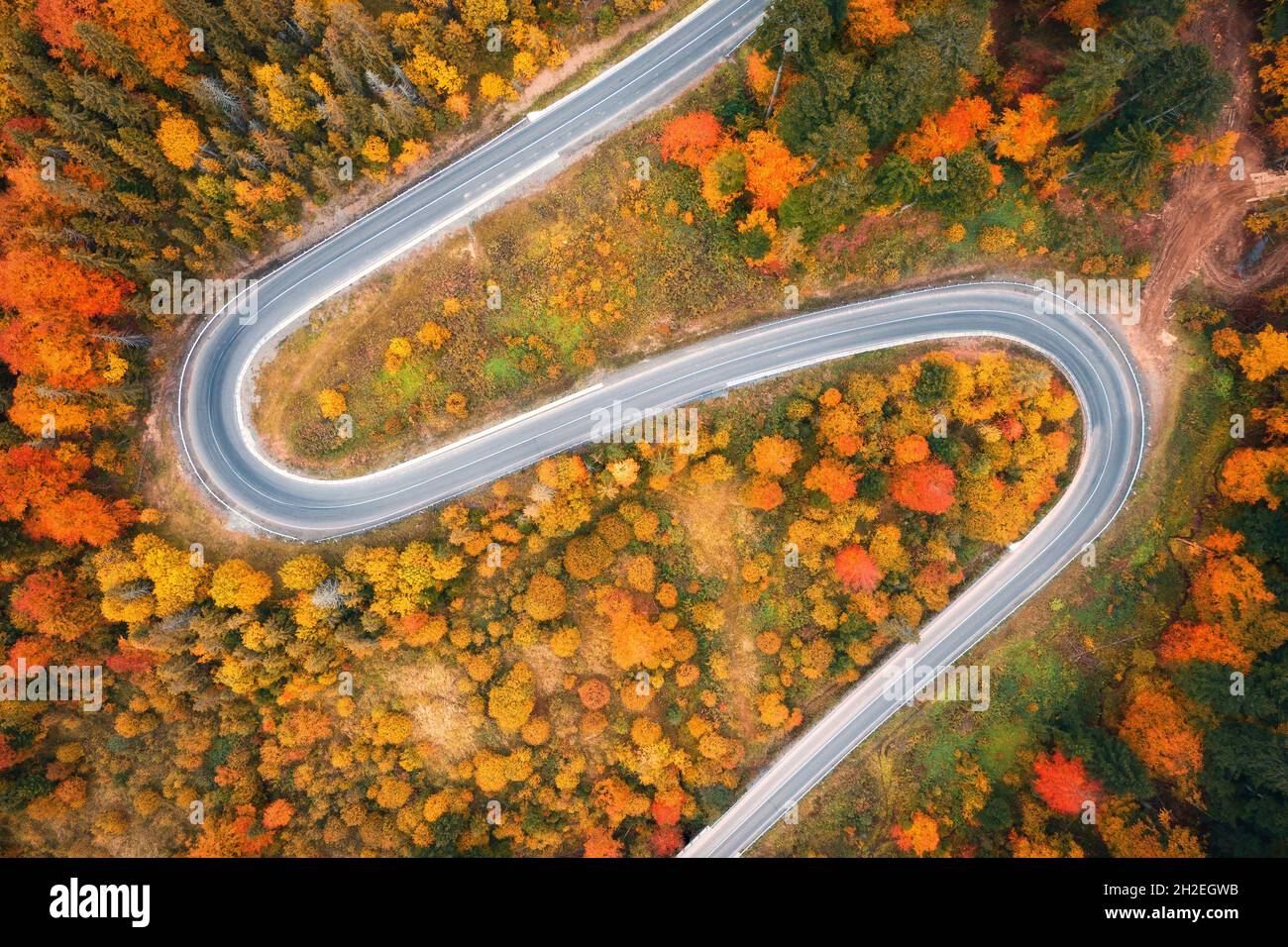 Winding road forest hi-res stock photography and images - Alamy