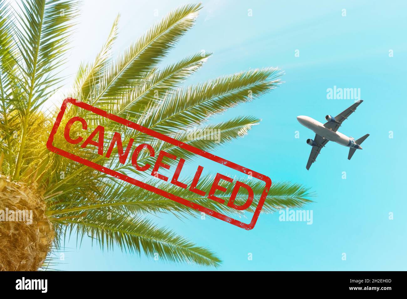 Airplane flight palm tree hi-res stock photography and images - Alamy