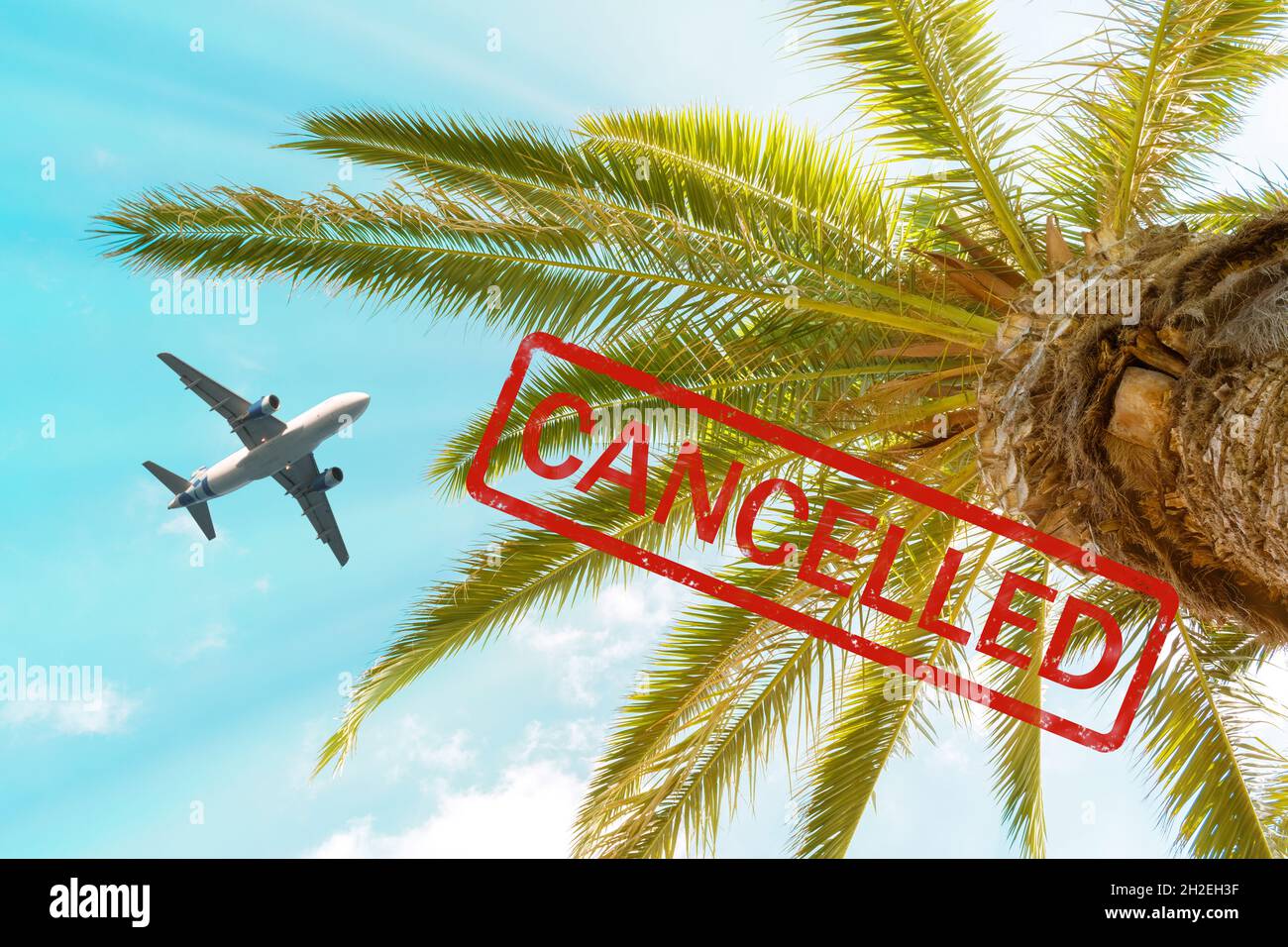 Airplane flight palm tree hi-res stock photography and images - Alamy