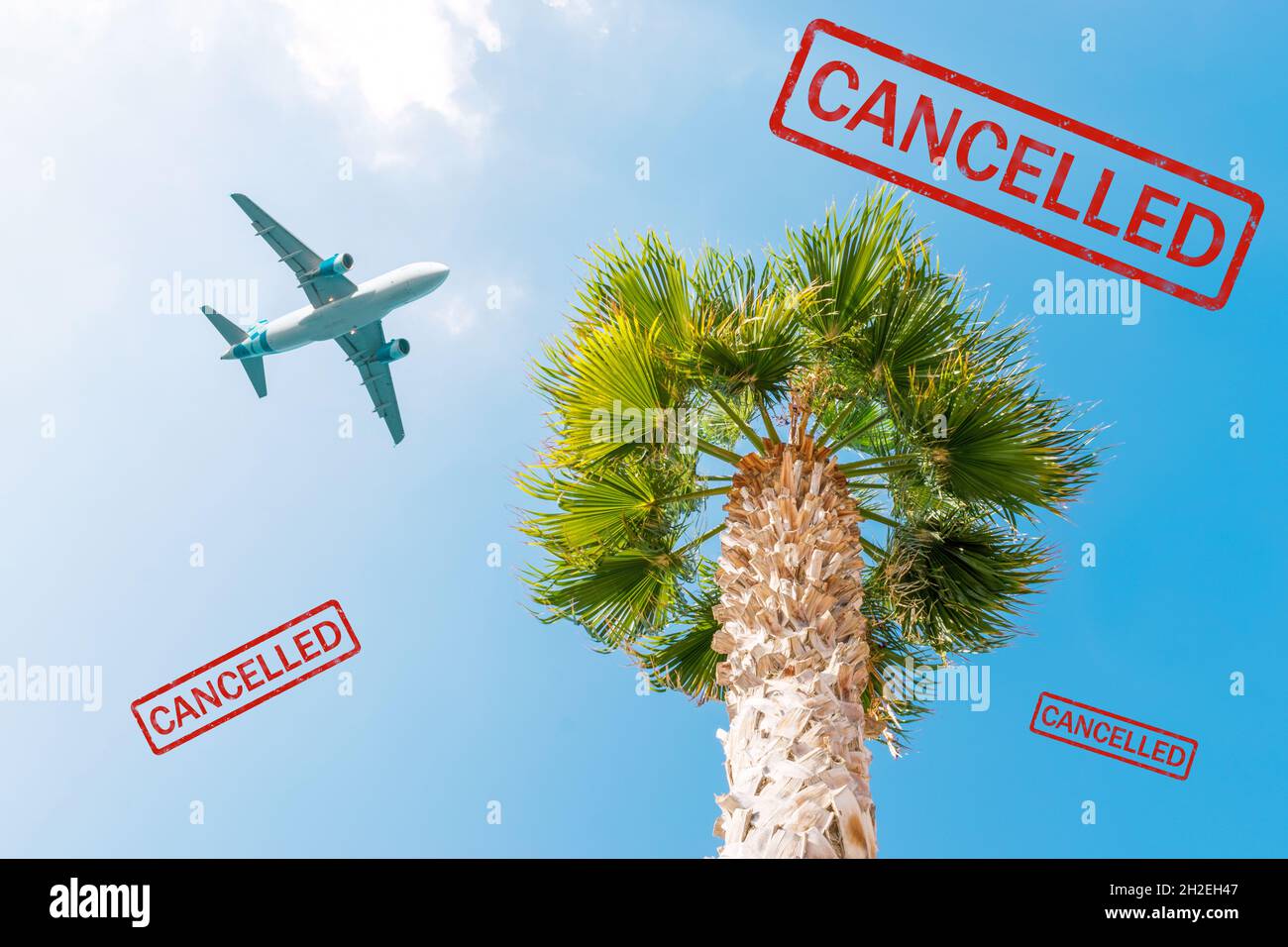 Passenger airplane flying above the palm tree against the blue sky ...