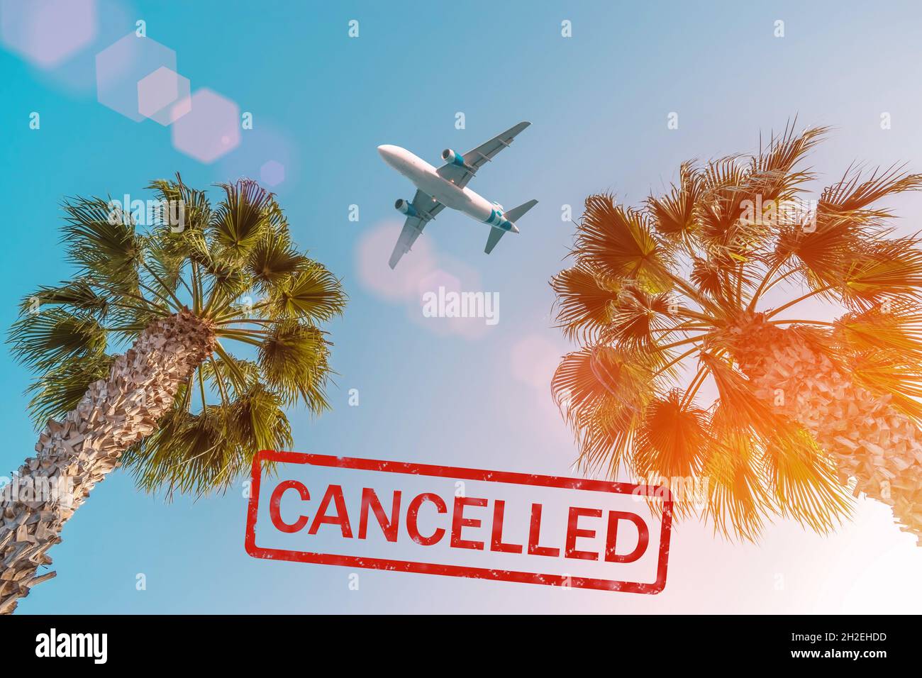 Airplane flight palm tree hi-res stock photography and images - Alamy