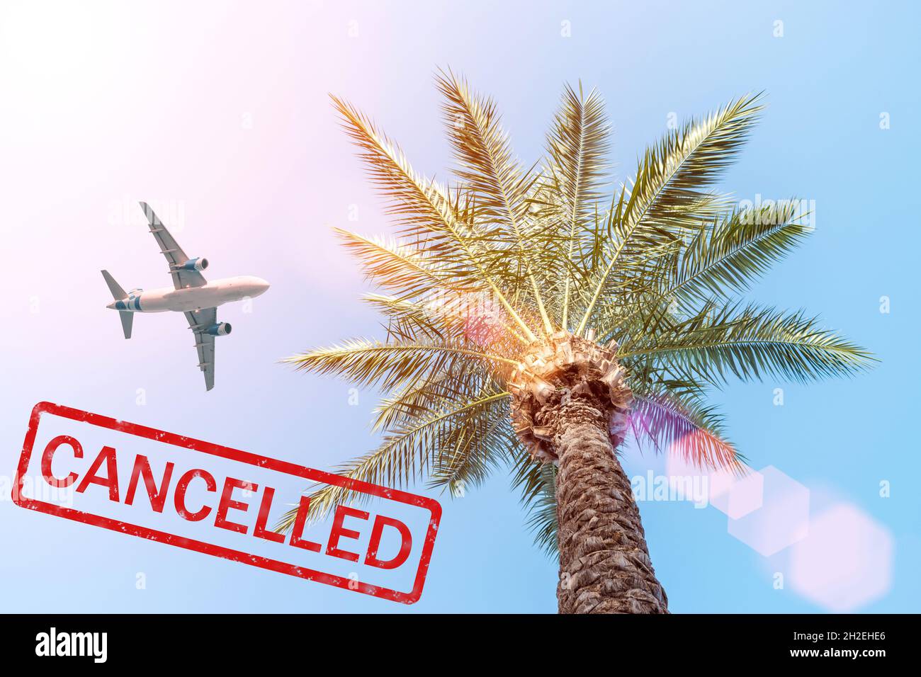 Airplane flight palm tree hi-res stock photography and images - Alamy