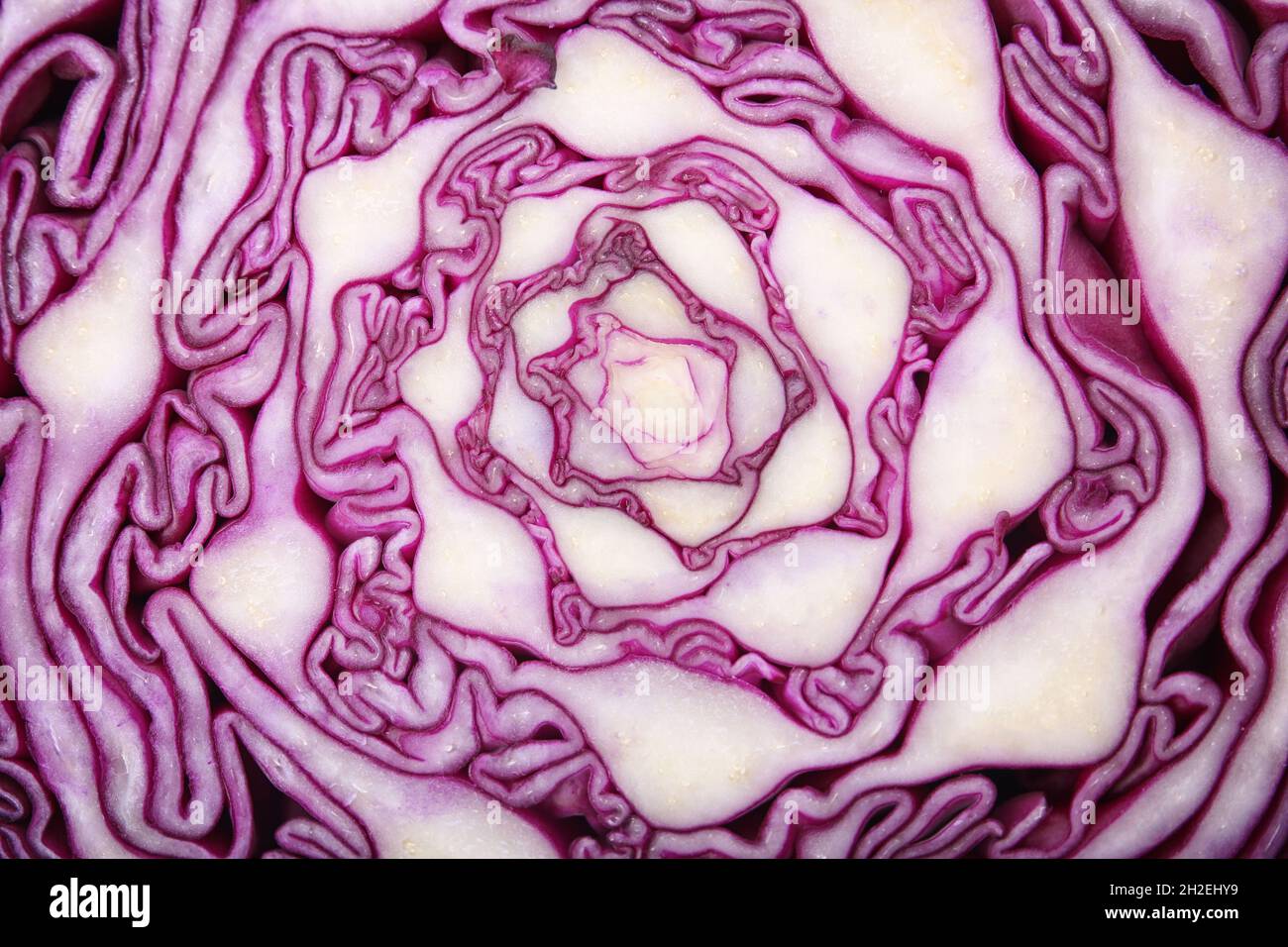Texture of cut red cabbage as background, closeup Stock Photo - Alamy