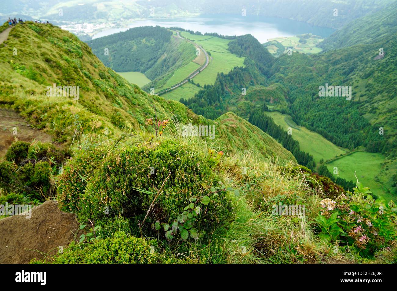 amazing green landscape on the azores island sao miguel Stock Photo - Alamy