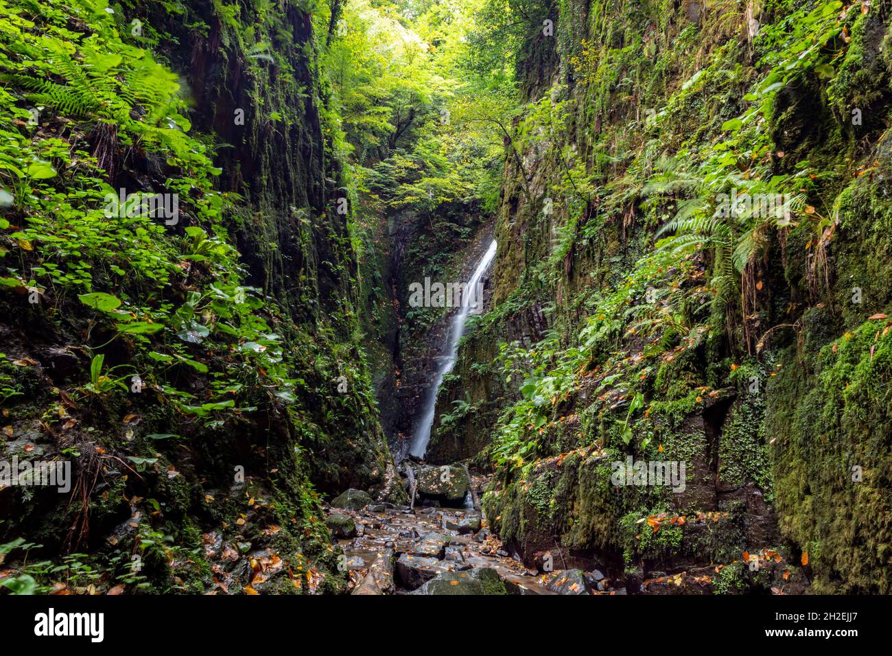 Golcuk kocaeli hi-res stock photography and images - Alamy