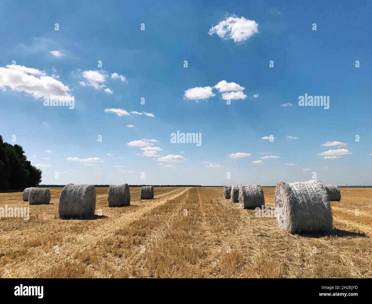 A two thirds symmetry shot of straw stack on a mown field. Round hay ...