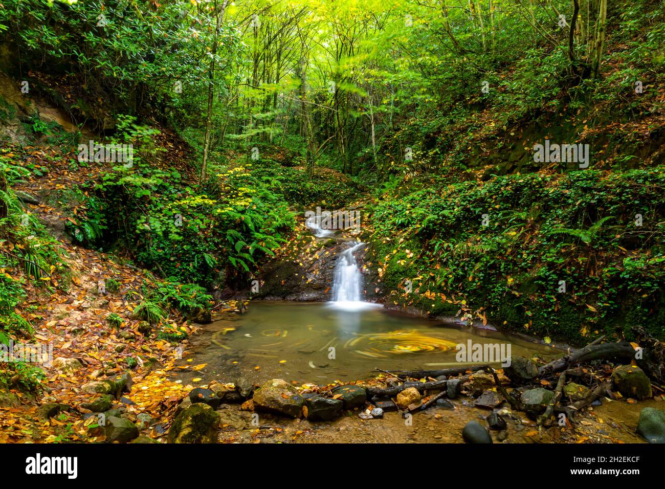 Golcuk kocaeli hi-res stock photography and images - Alamy