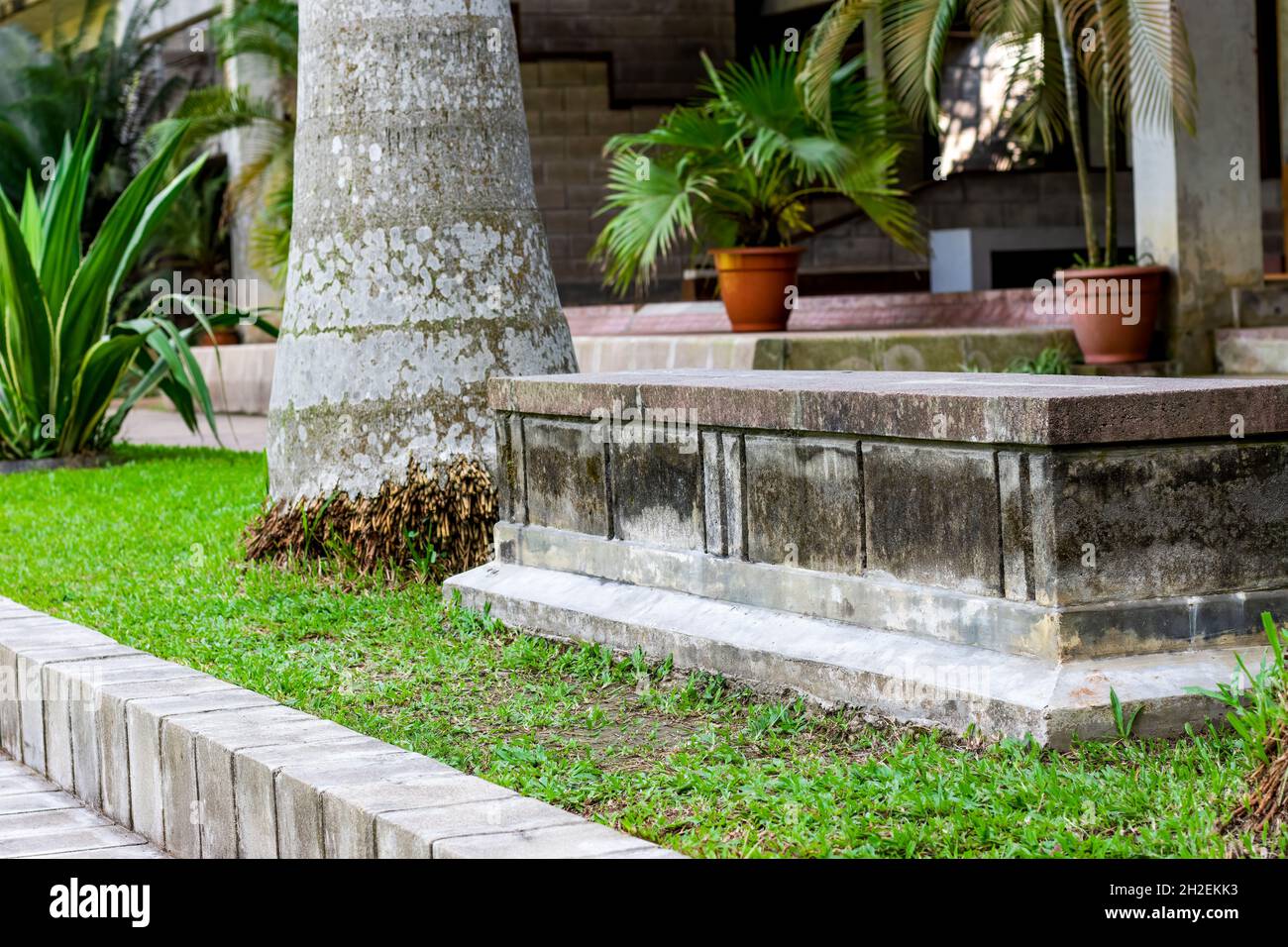 Empty old concrete bench inside of a botanical park Stock Photo - Alamy