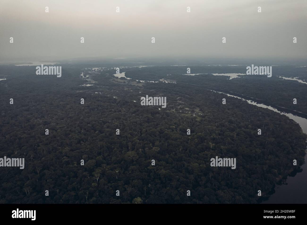 Amazon river. Photo from a height Stock Photo - Alamy