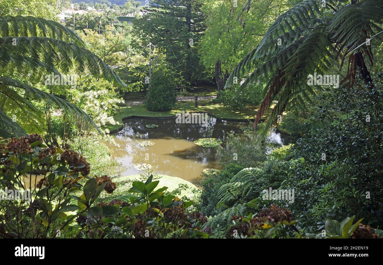 green exotic landscape on the azores islands Stock Photo - Alamy