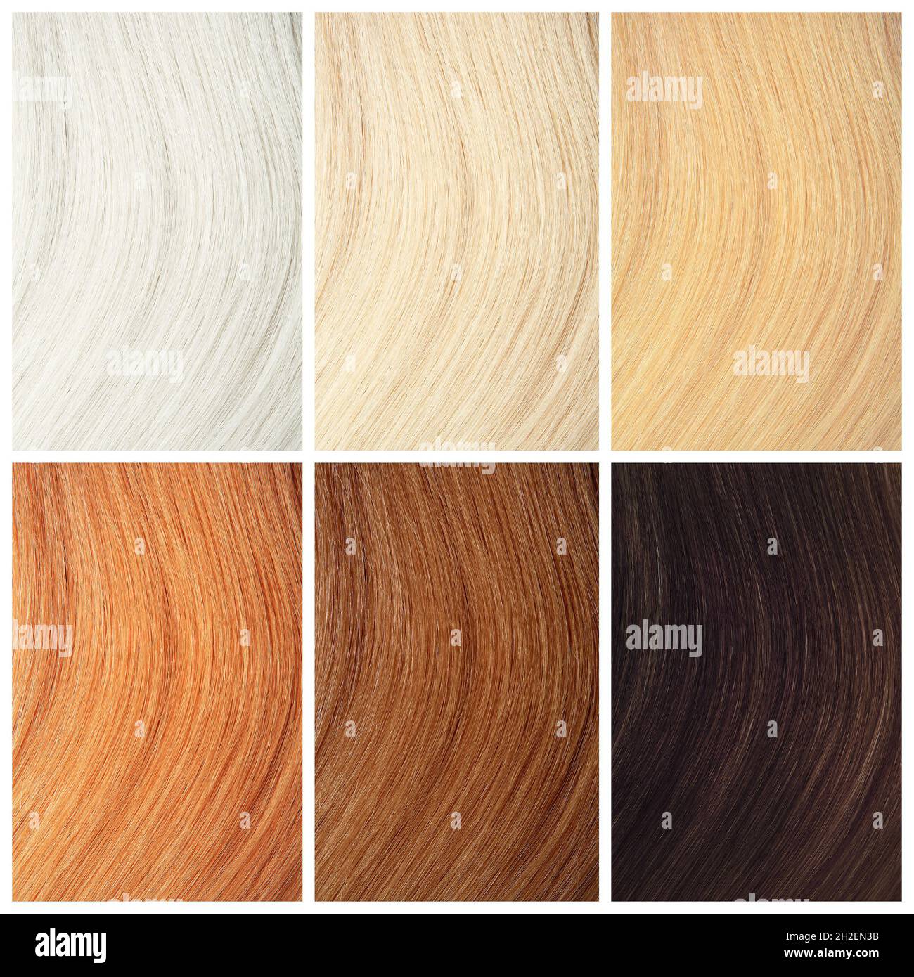 Set with color hair samples. Beauty and professional treatment Stock ...