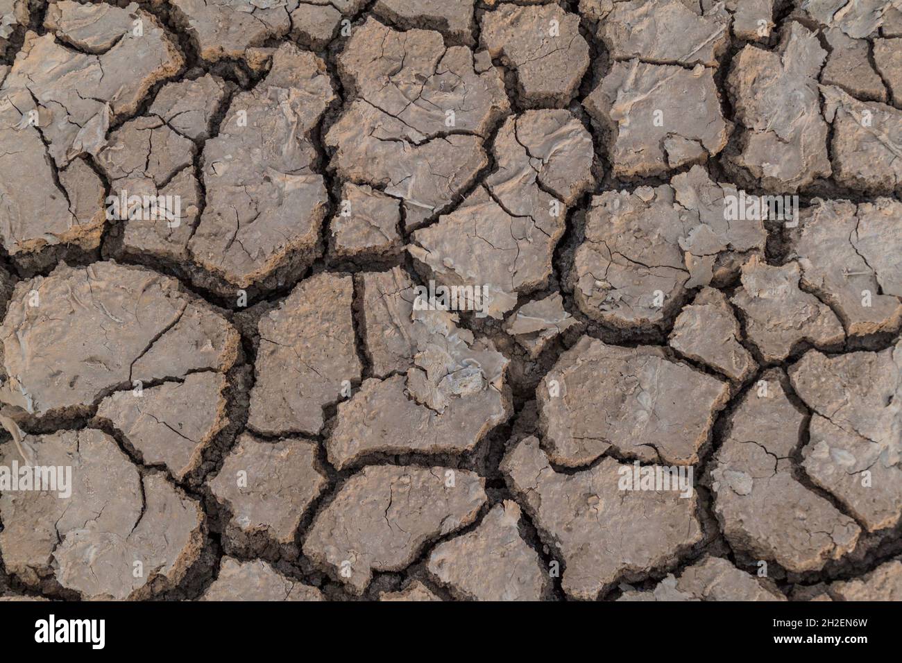 Dried mud cracks hi-res stock photography and images - Alamy