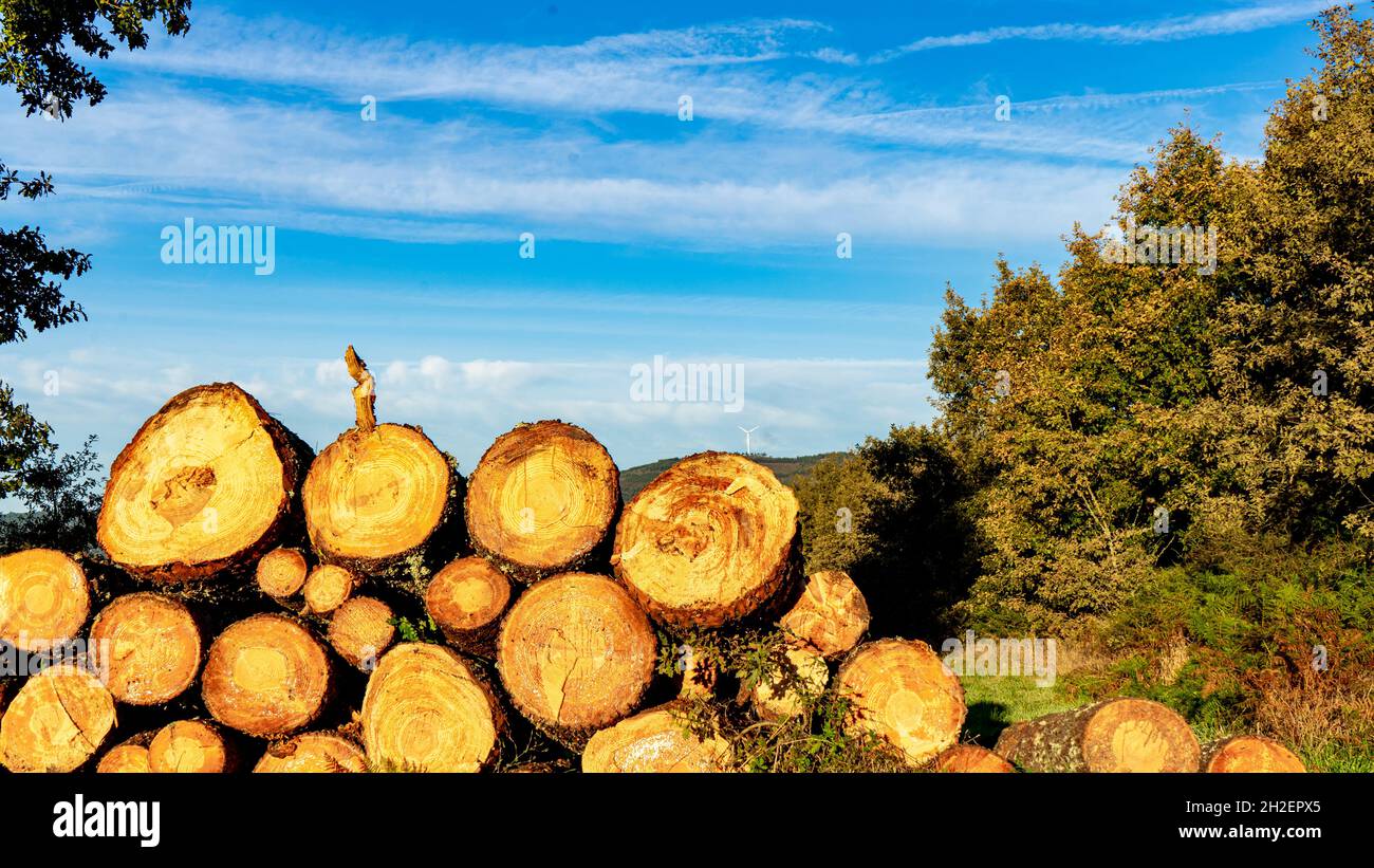 Oozing cut hi-res stock photography and images - Alamy
