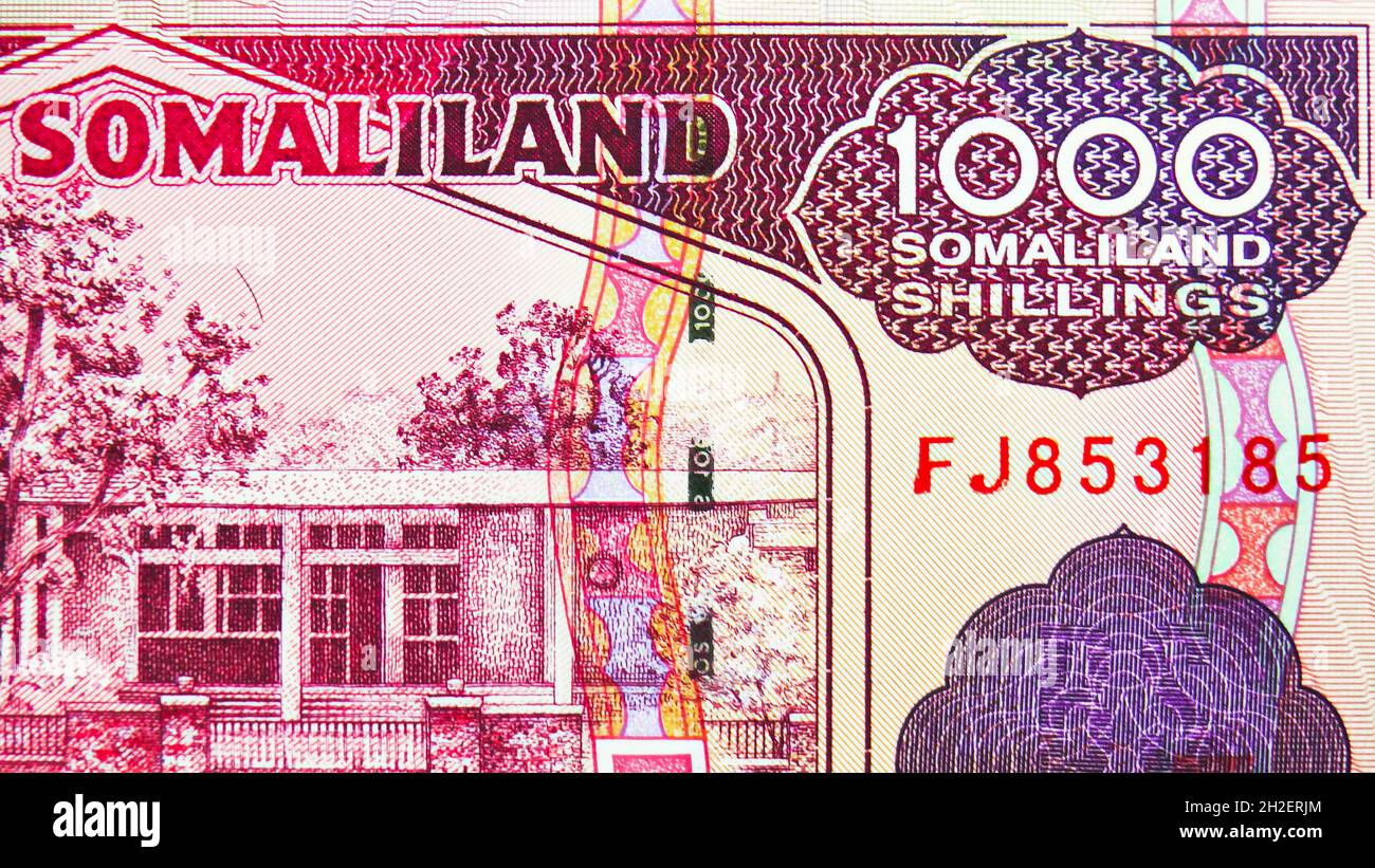 1000 Somaliland Shillings banknote, Bank of Somaliland, closeup bill ...
