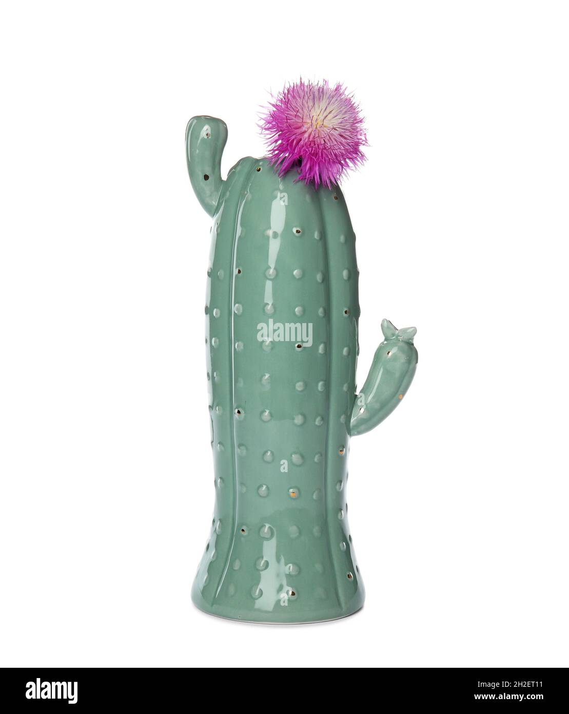 Trendy cactus shaped ceramic vase with flower on white background Stock ...