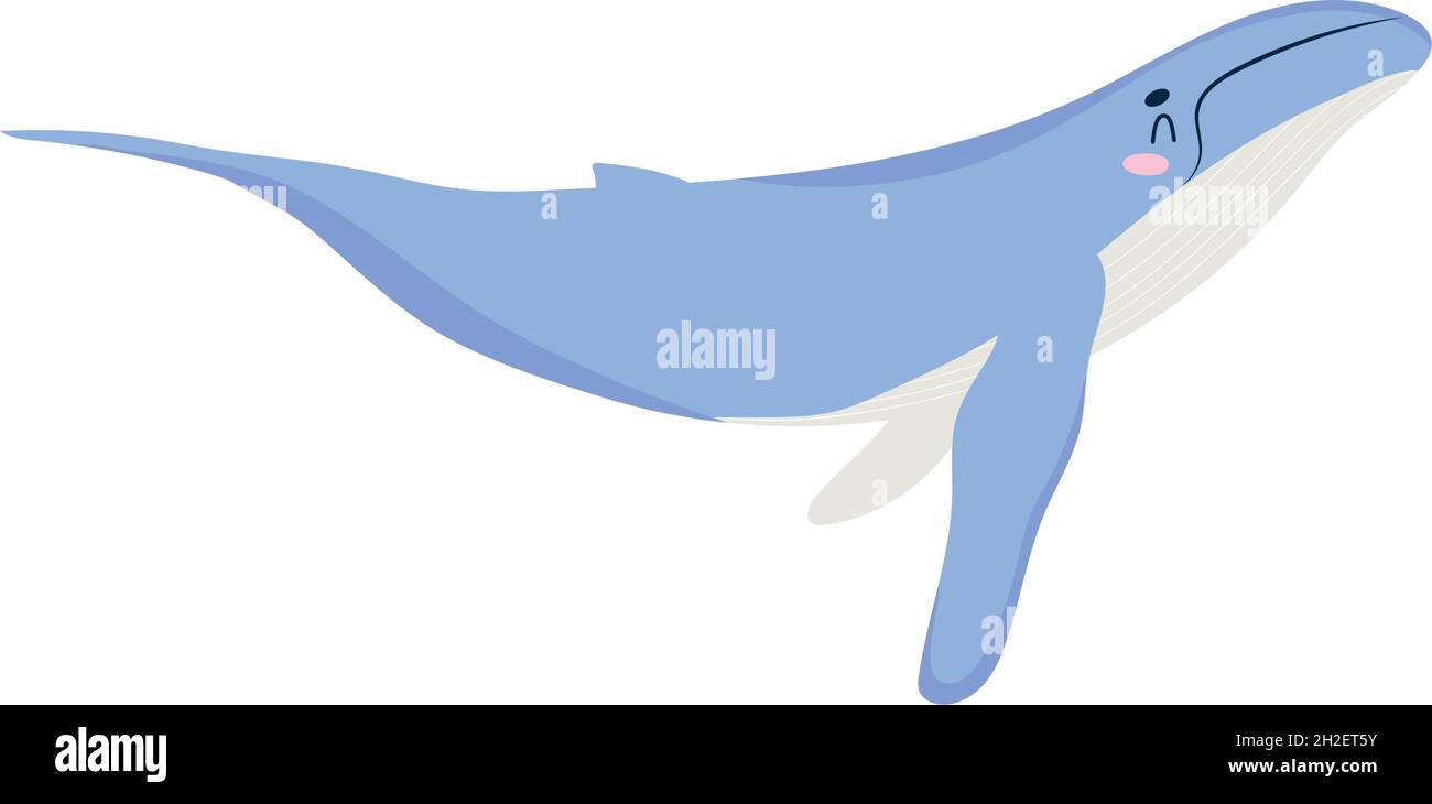 cute whale icon on white background Stock Vector Image & Art - Alamy
