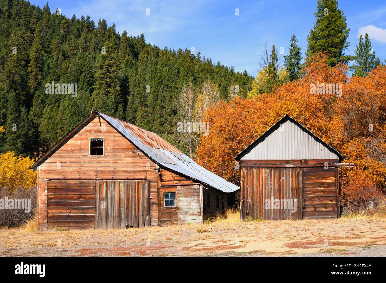 Pair of old wooden buildings with metal roofs in Liberty Washington ...