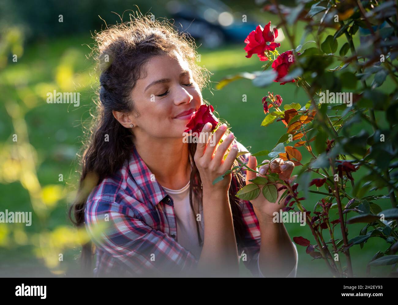 Pretty young woman smelling red roses in garden, enjoying on pleasant ...