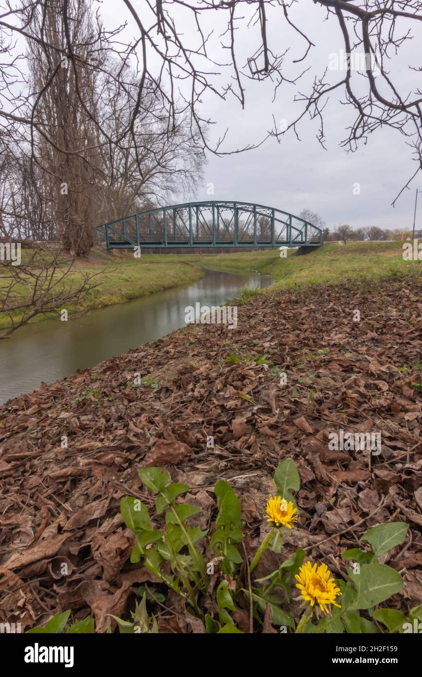 Old rusty truss bridge over the Orljava river Stock Photo - Alamy