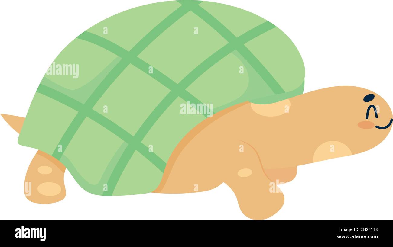cute turtle icon on white background Stock Vector Image & Art - Alamy