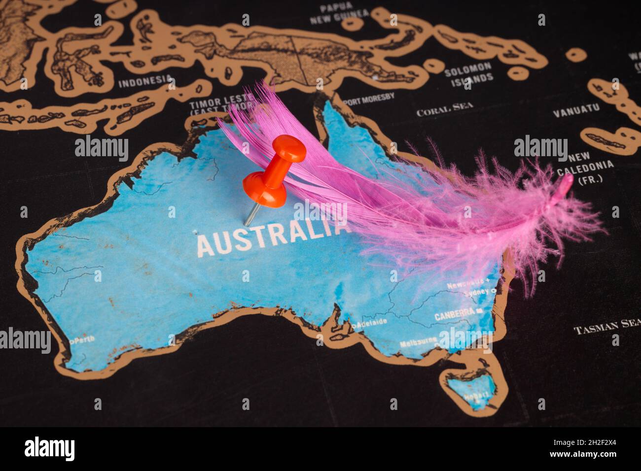 Red pin and Bird featheron dot on Australia map. Pushpin pointing ...