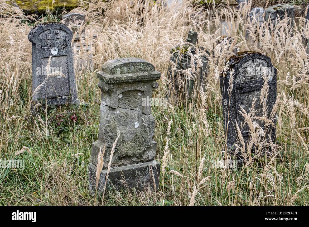 Grass vintage hi-res stock photography and images - Alamy