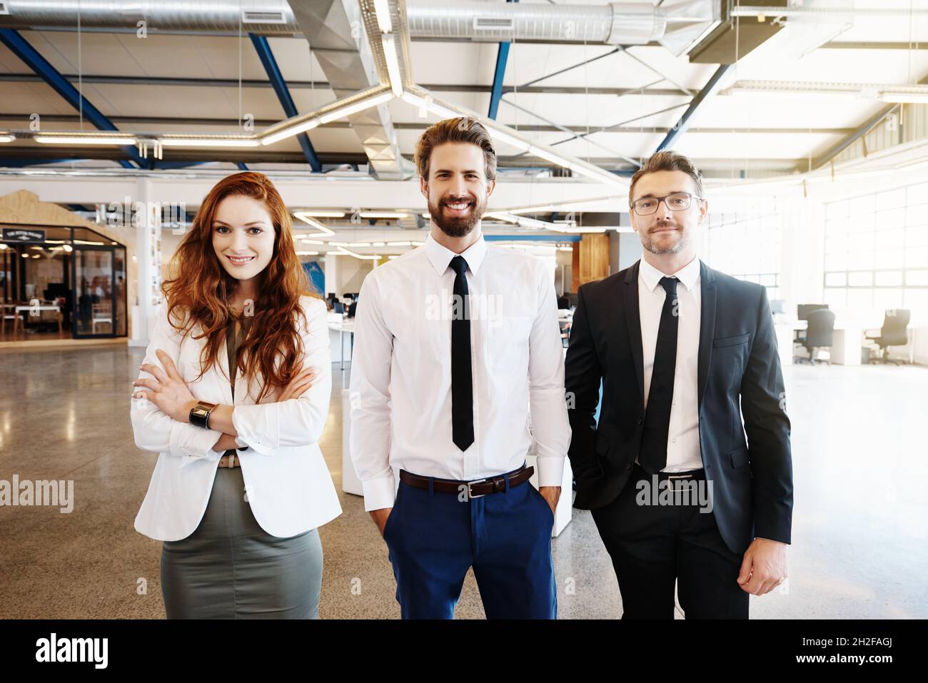 The heads of a successful business Stock Photo - Alamy