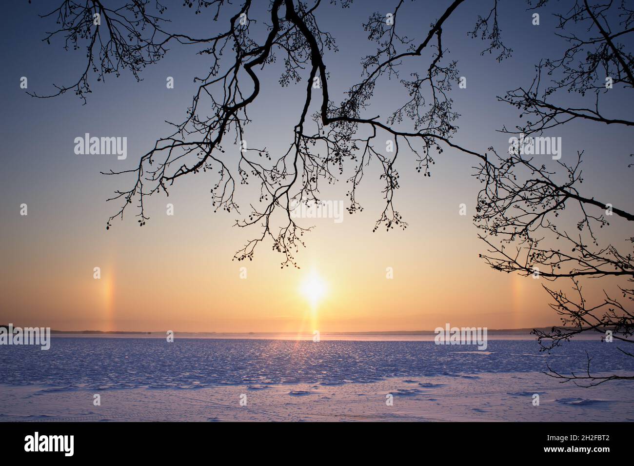 Sun dog halos on both sides of the sun. Cold winter landscape with ...