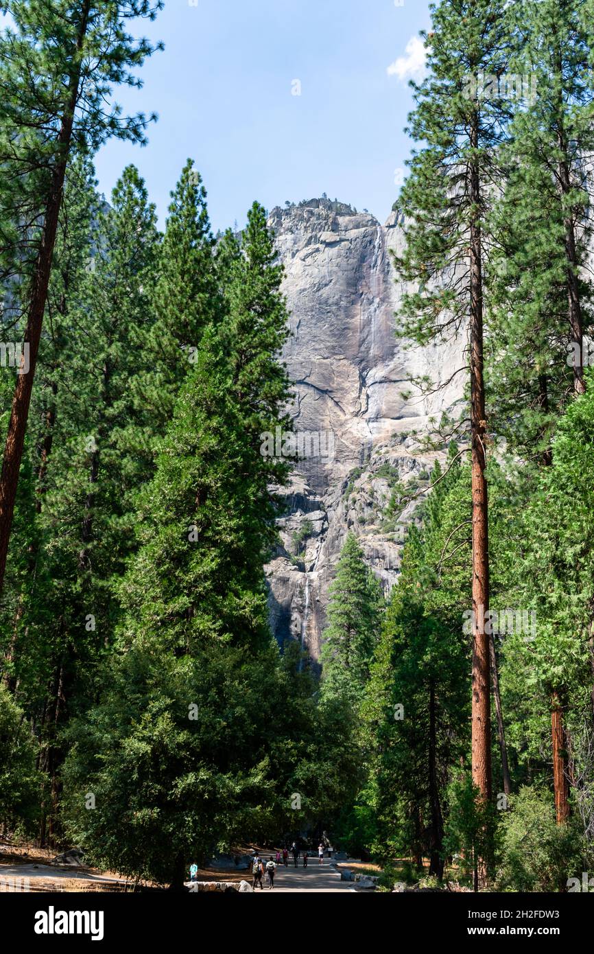 Vertical shot of the Lower Yosemite Falls Trail in Yosemite National ...