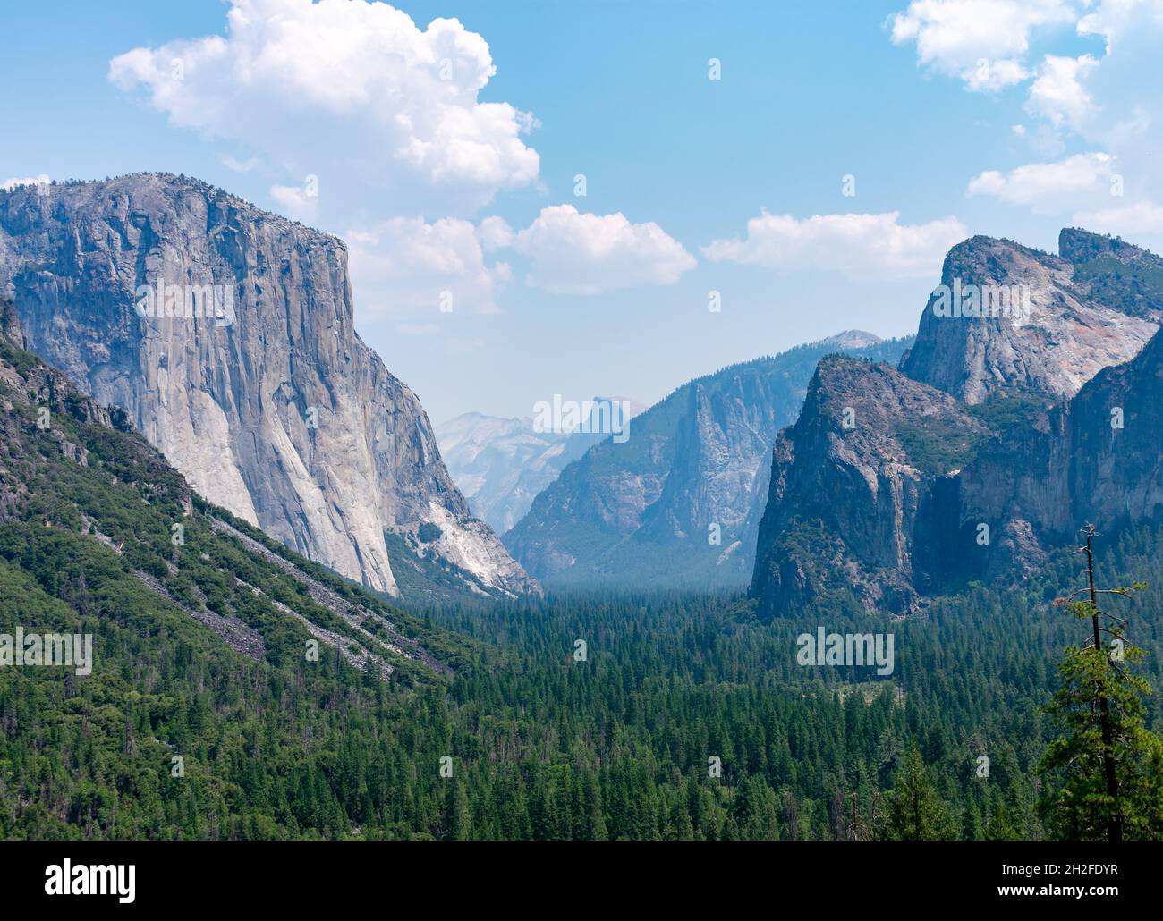 Landscape of rocks and greenery in Yosemite National Park under the ...