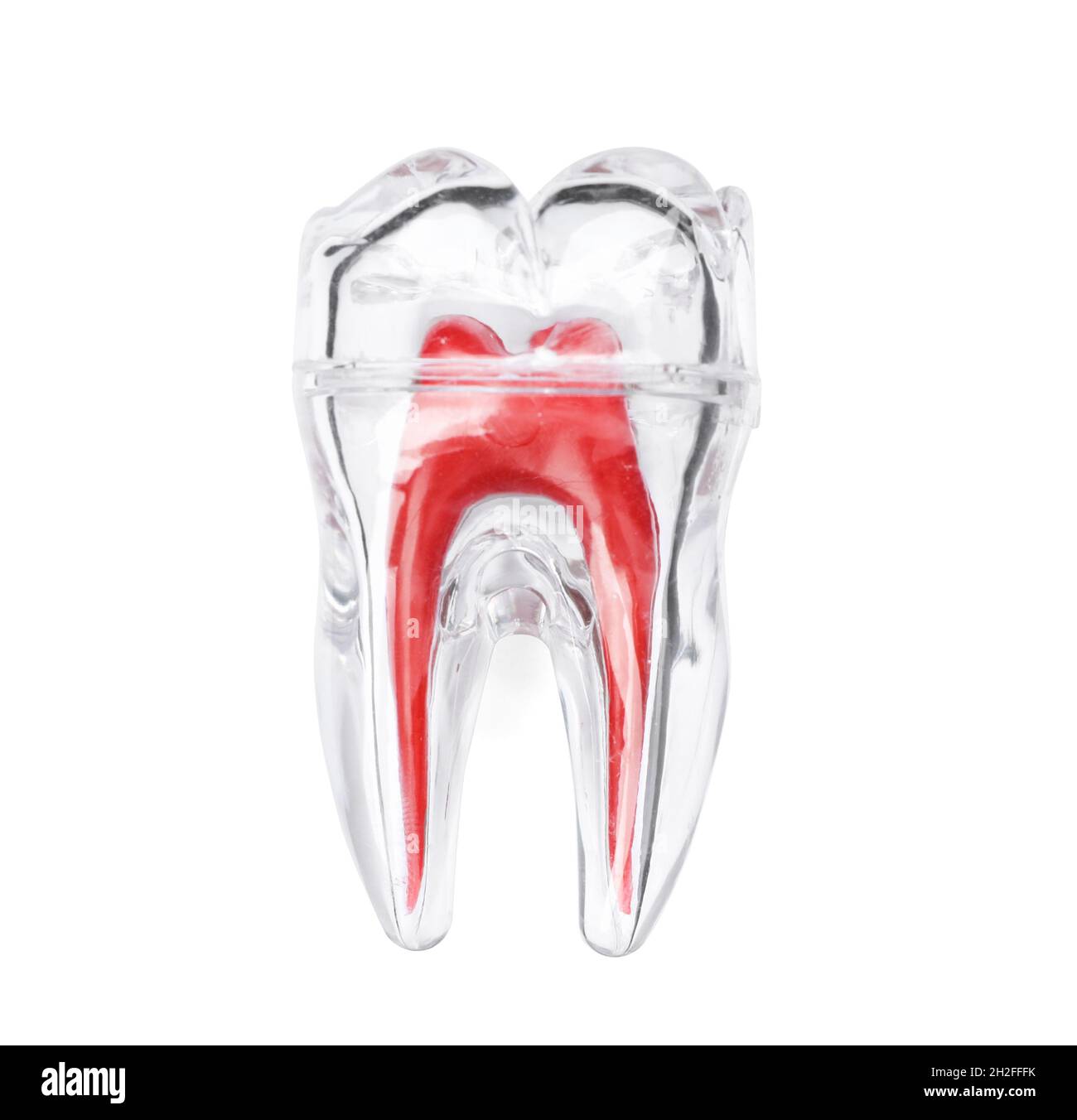 Teeth crown view Cut Out Stock Images & Pictures - Alamy