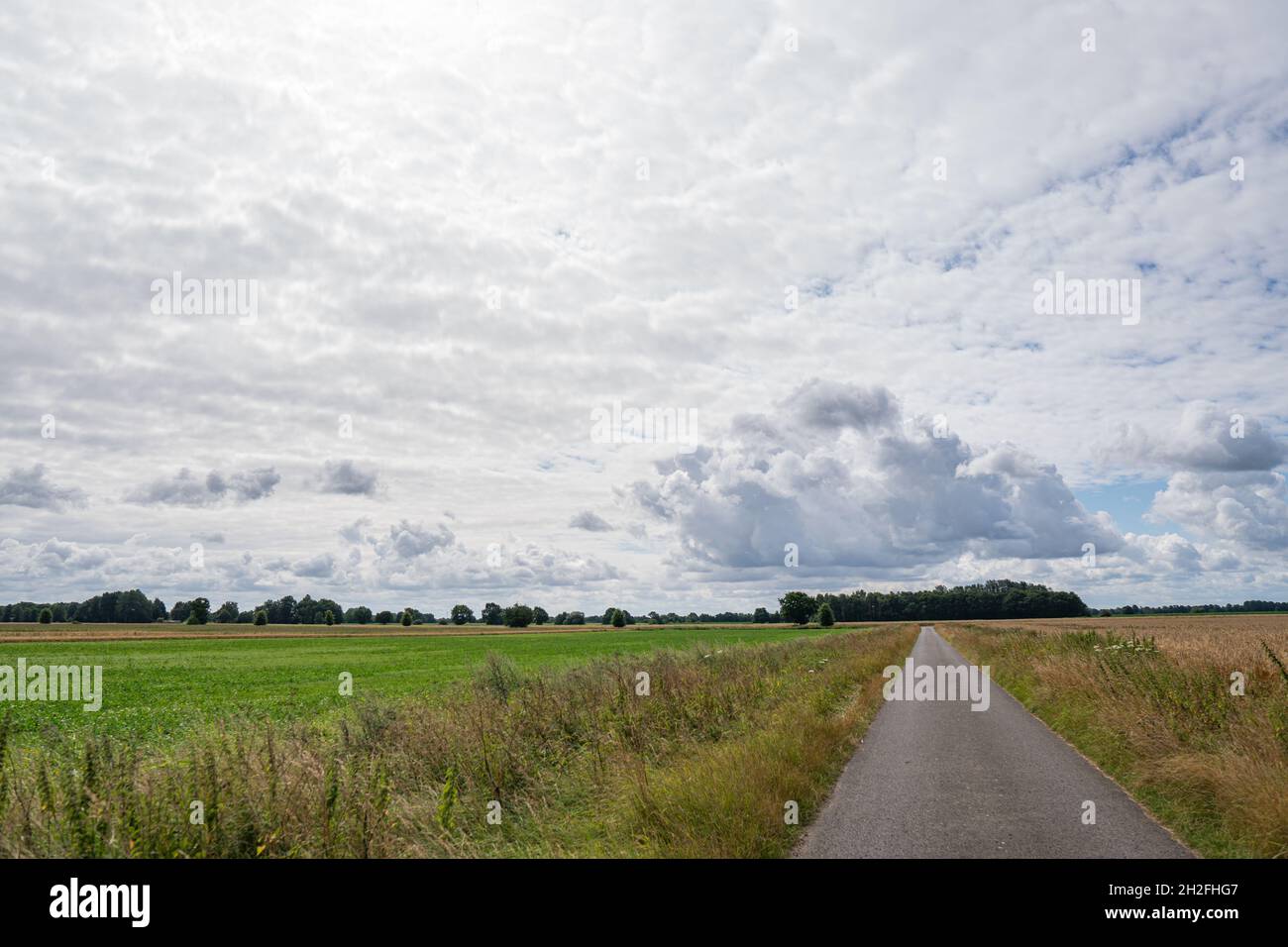 Road through great green grass field with white sky at borgfelder ...