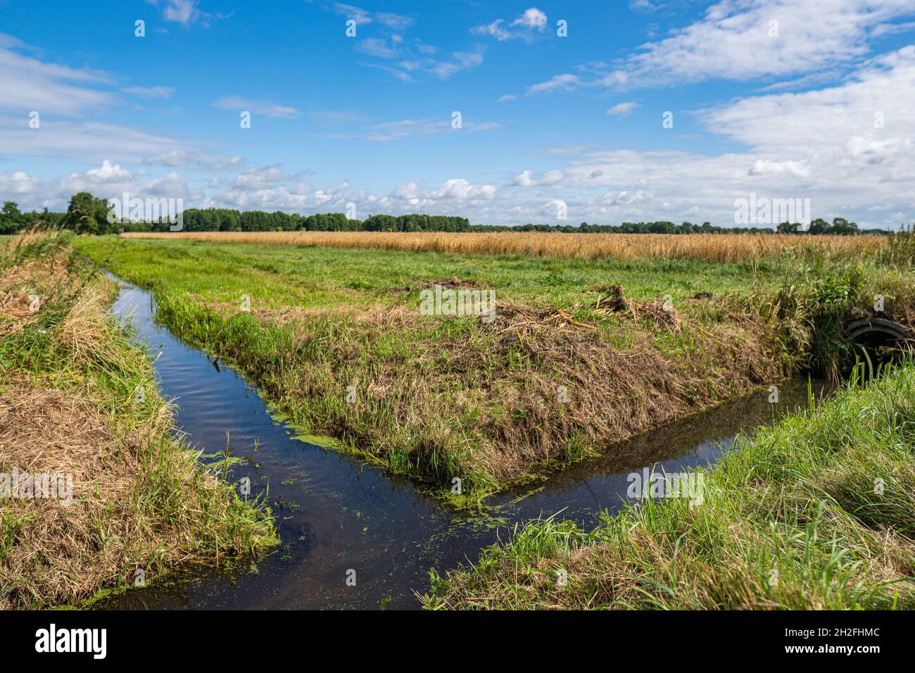small rivers flowing through huge fields of wheat and grass at ...
