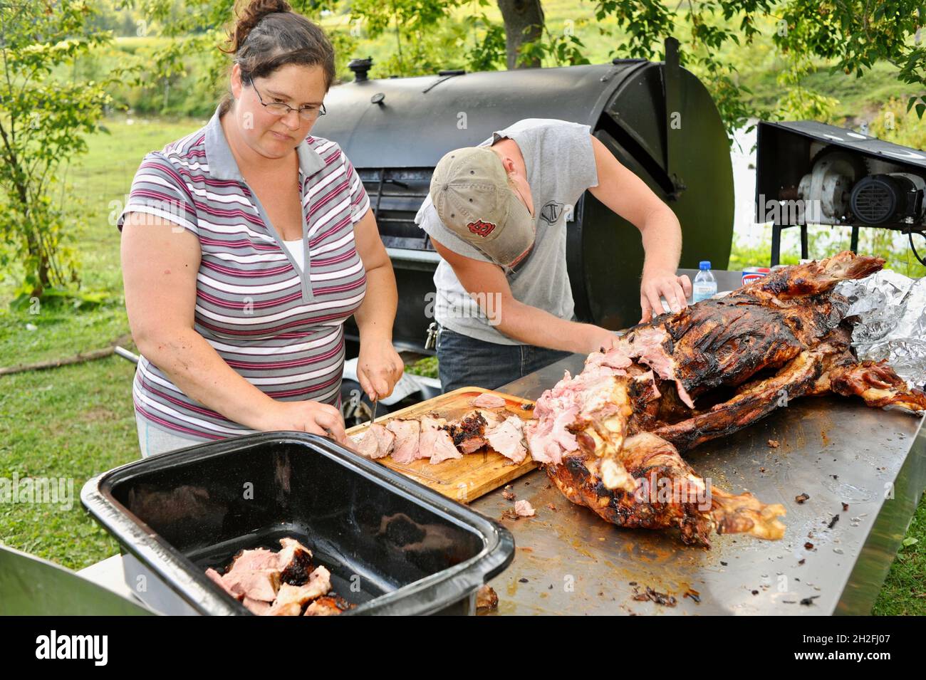 Cutting and carving spit-roasted whole pig hog, on a Midwestern farm ...