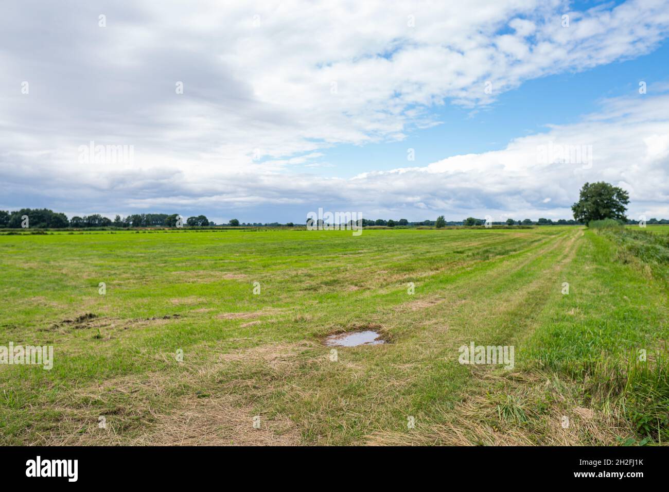Great green grass field with white sky at borgfelder wümmewiesen ...