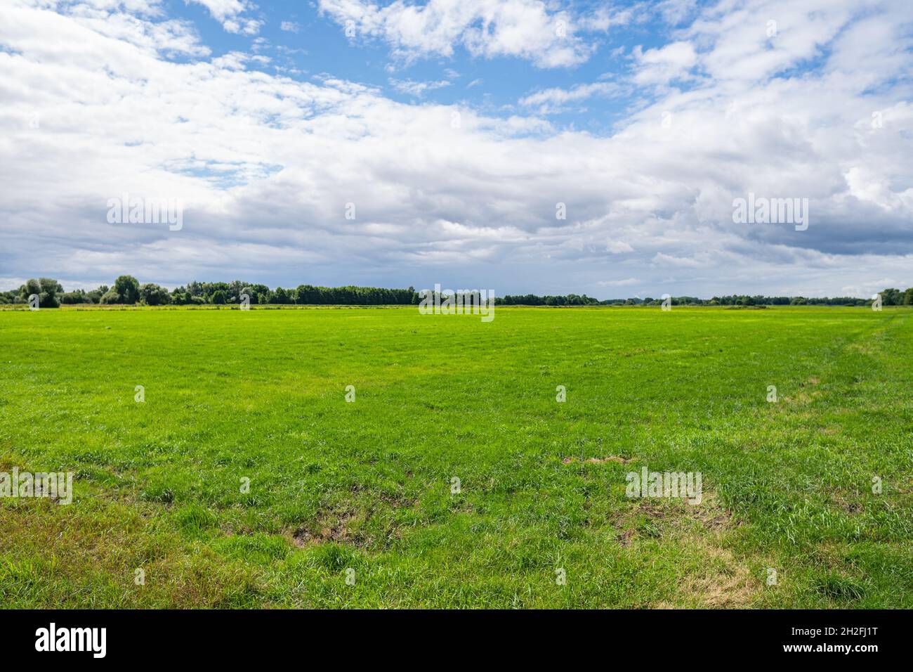 Great green grass field with white sky at borgfelder wümmewiesen ...