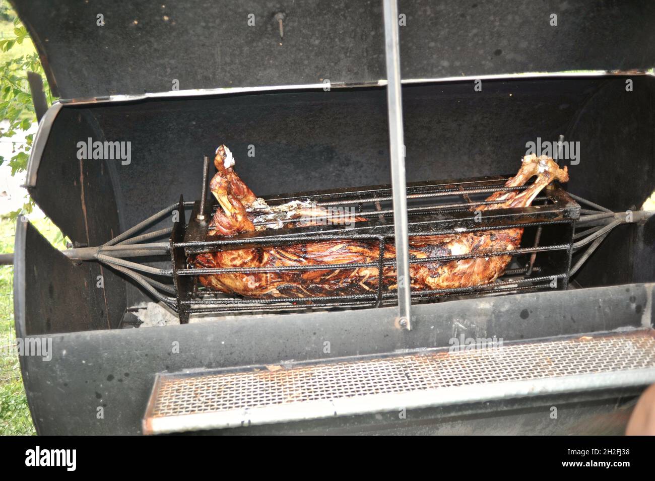 Whole spit-roasted pig hog on a charcoal-fired grill outside, on a ...