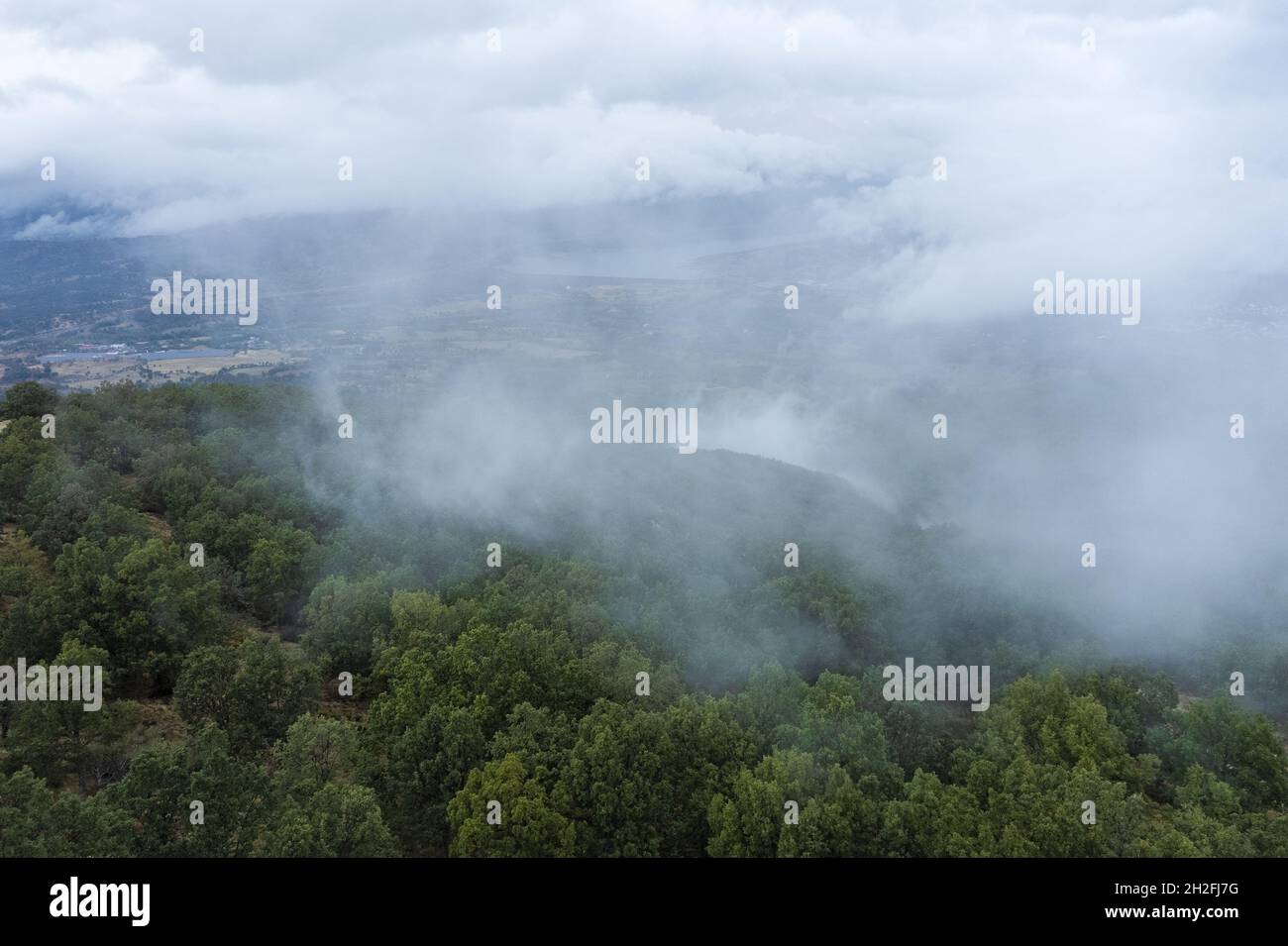 Aerial shot of the foggy forests of the Ambroz Valley, Extremadura ...