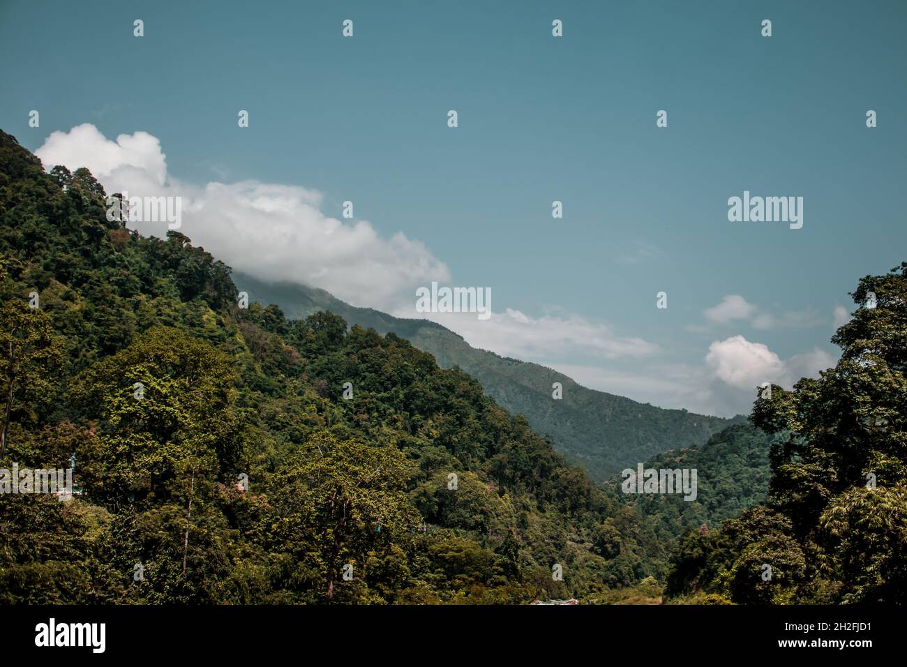 Shot of mountain ranges covered in forests in Darjeeling, India Stock ...