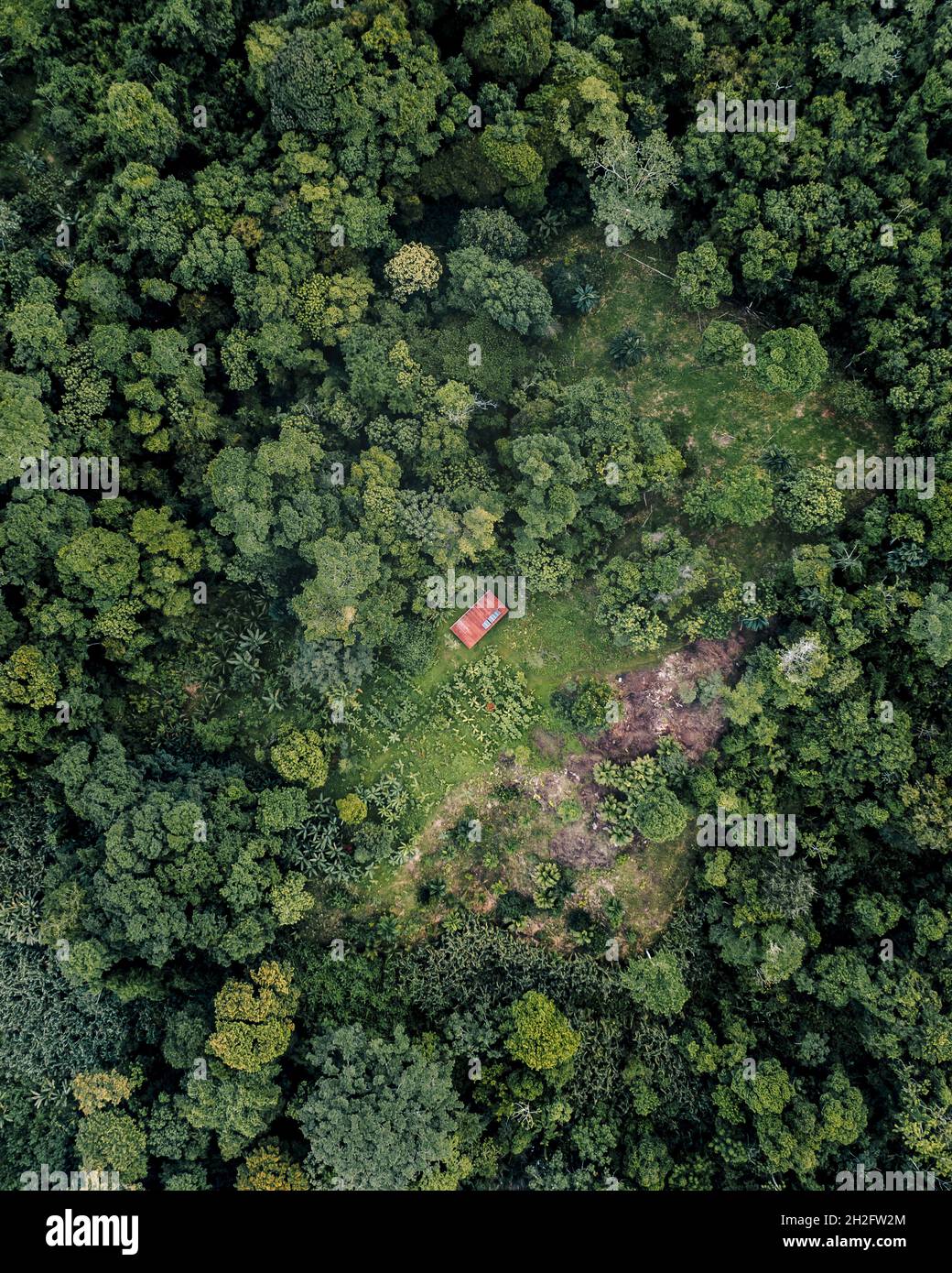 Hut in forest costa rica hi-res stock photography and images - Alamy
