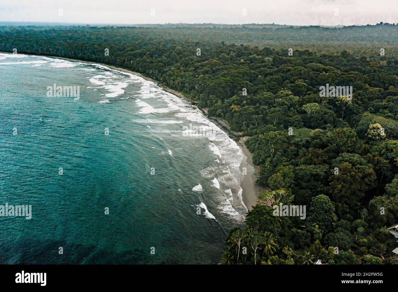 Punta mona costa rica hi-res stock photography and images - Alamy