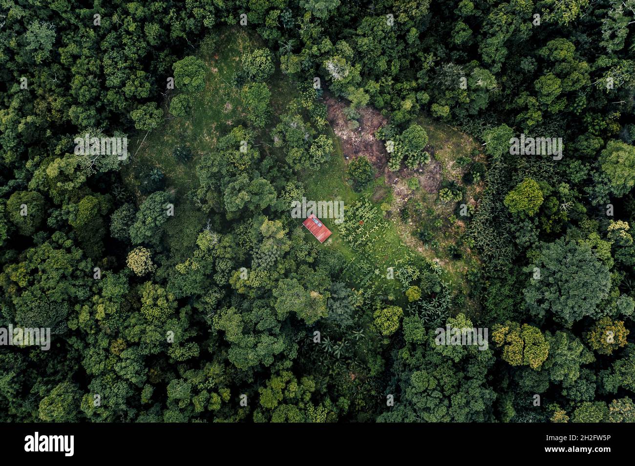 Hut in forest costa rica hi-res stock photography and images - Alamy