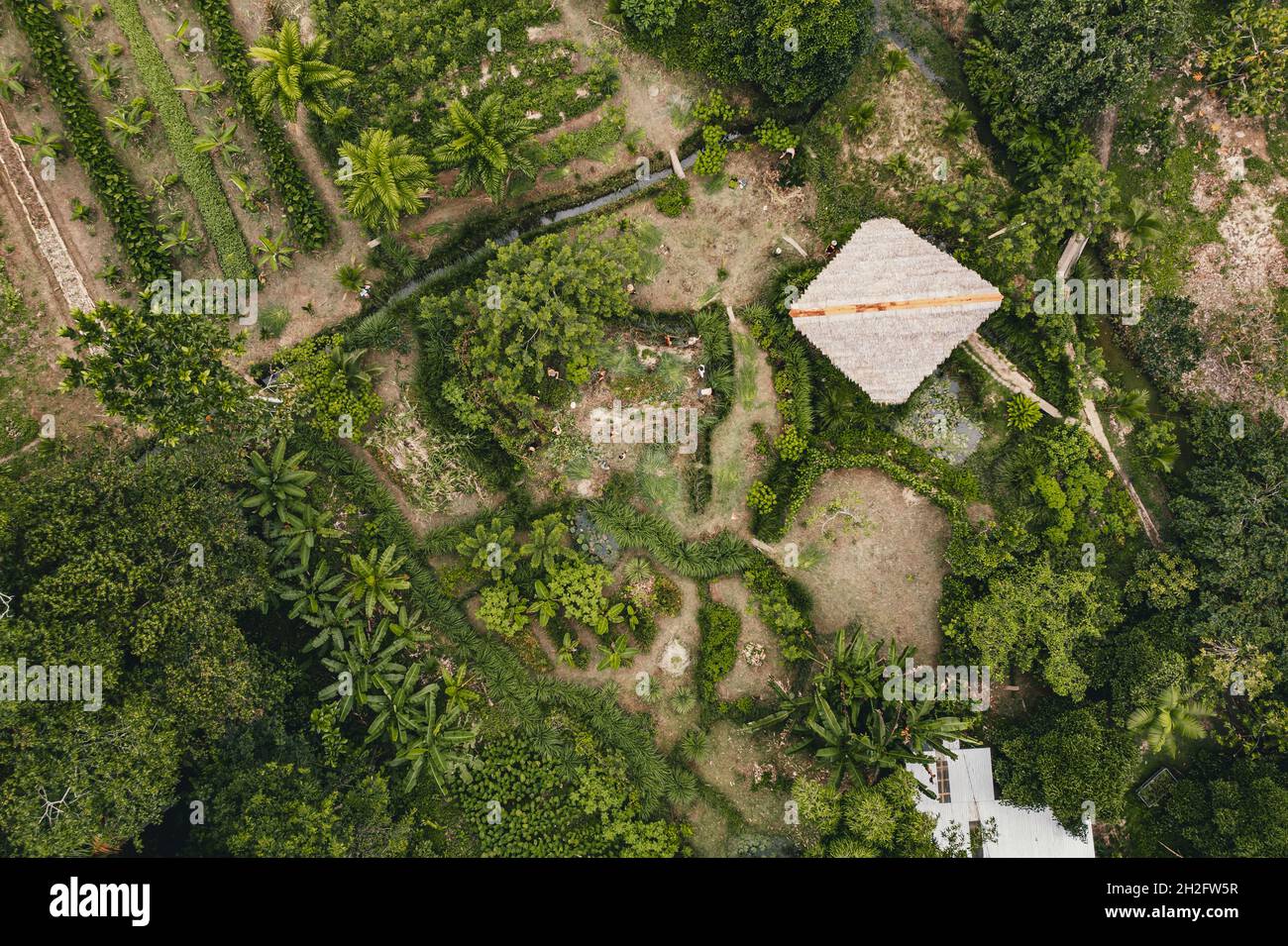 Hut in forest costa rica hi-res stock photography and images - Alamy