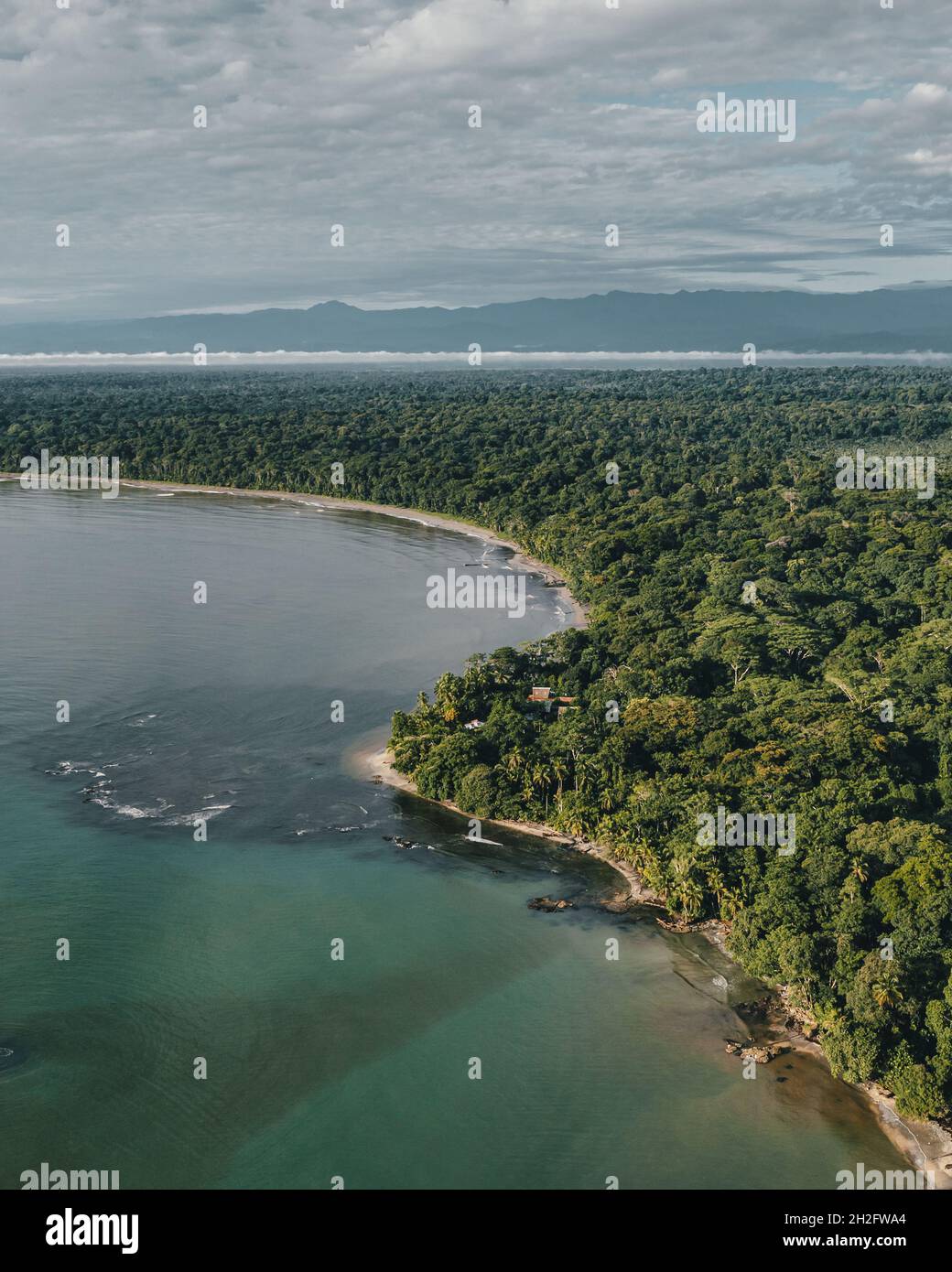 Punta mona costa rica hi-res stock photography and images - Alamy