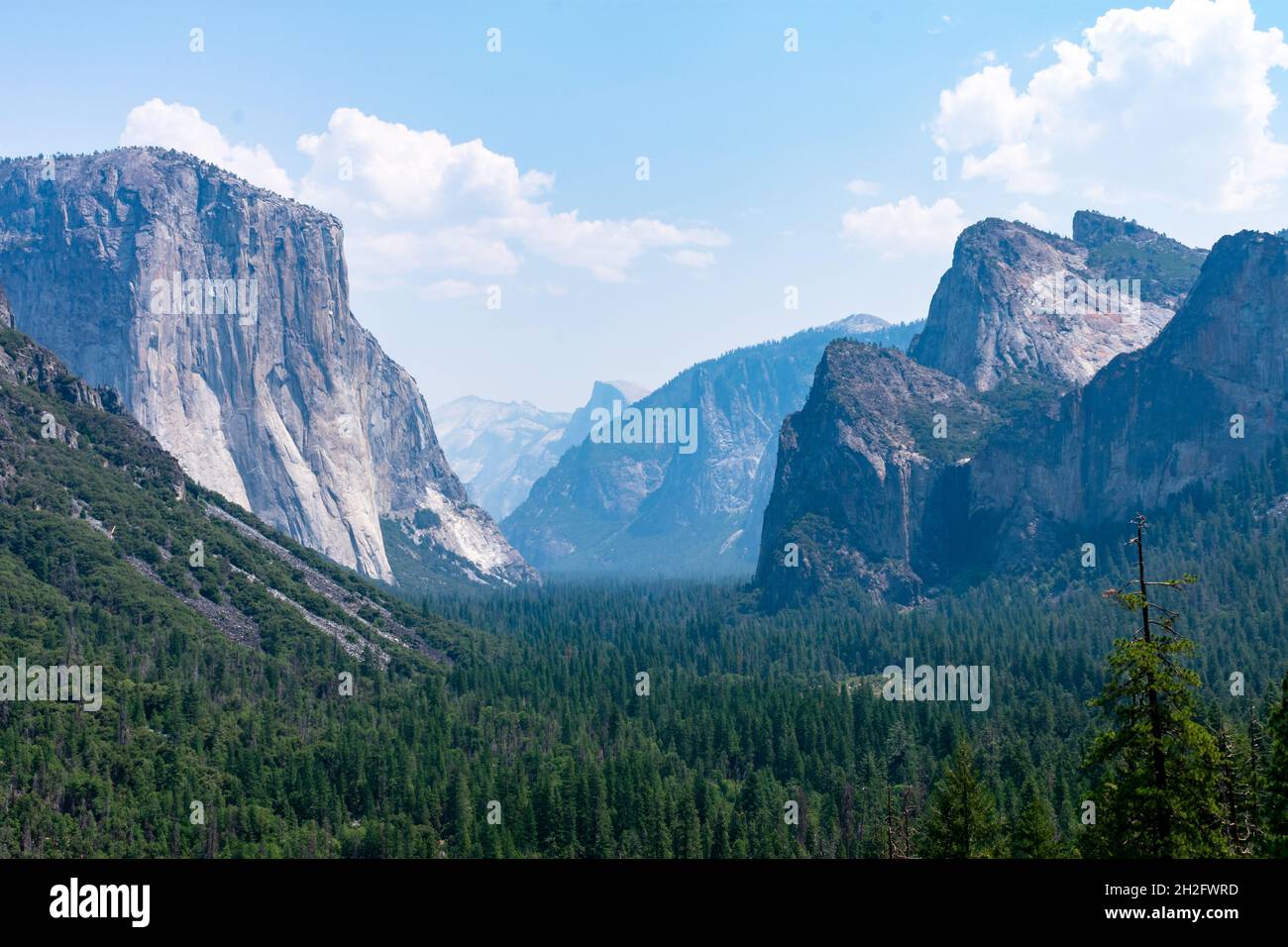 Landscape of rocks and greenery in Yosemite National Park under the ...